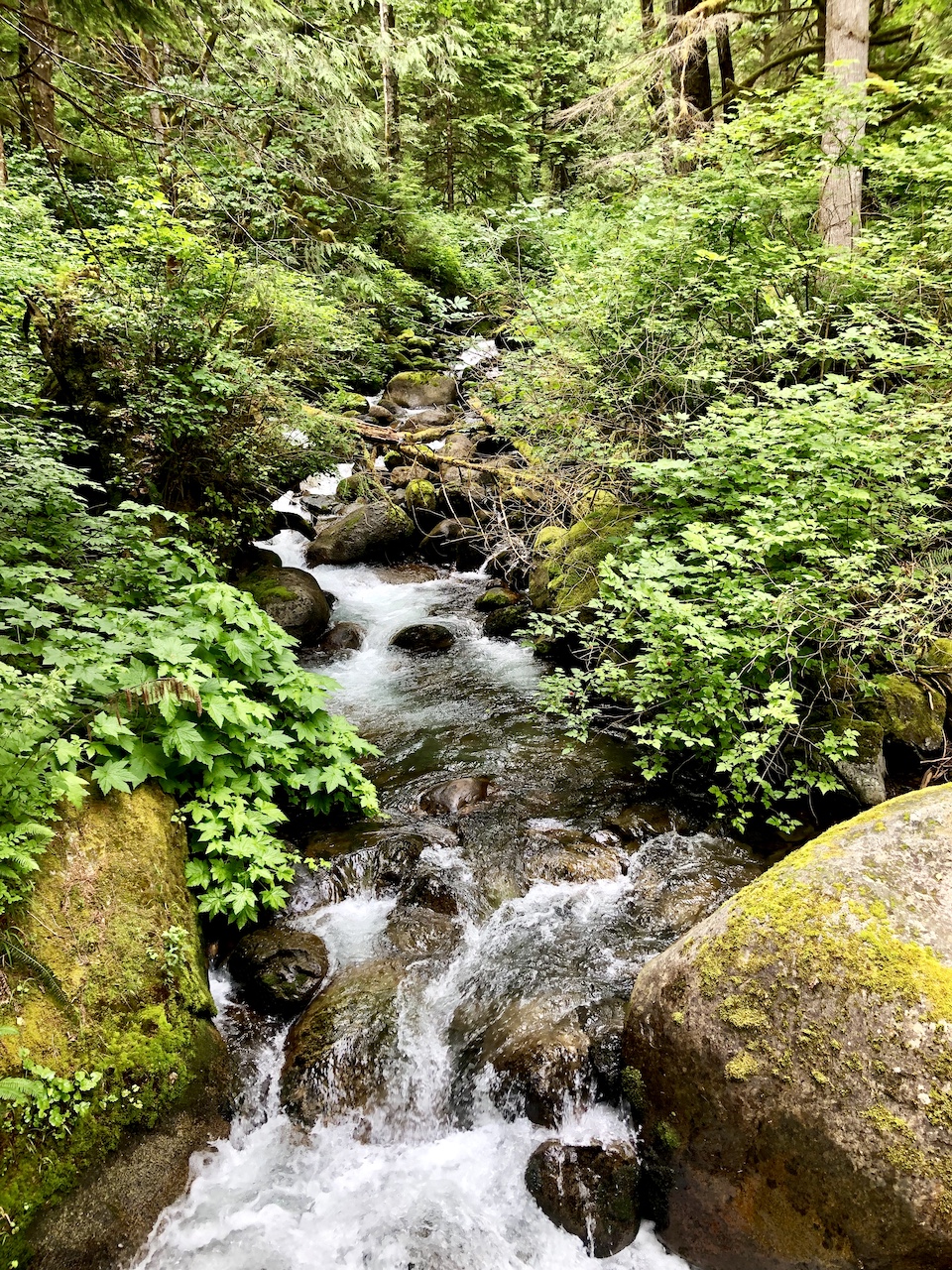 Road Tripping The Cascade Loop, WA With Kids - Day 1 - Frugal For Luxury
