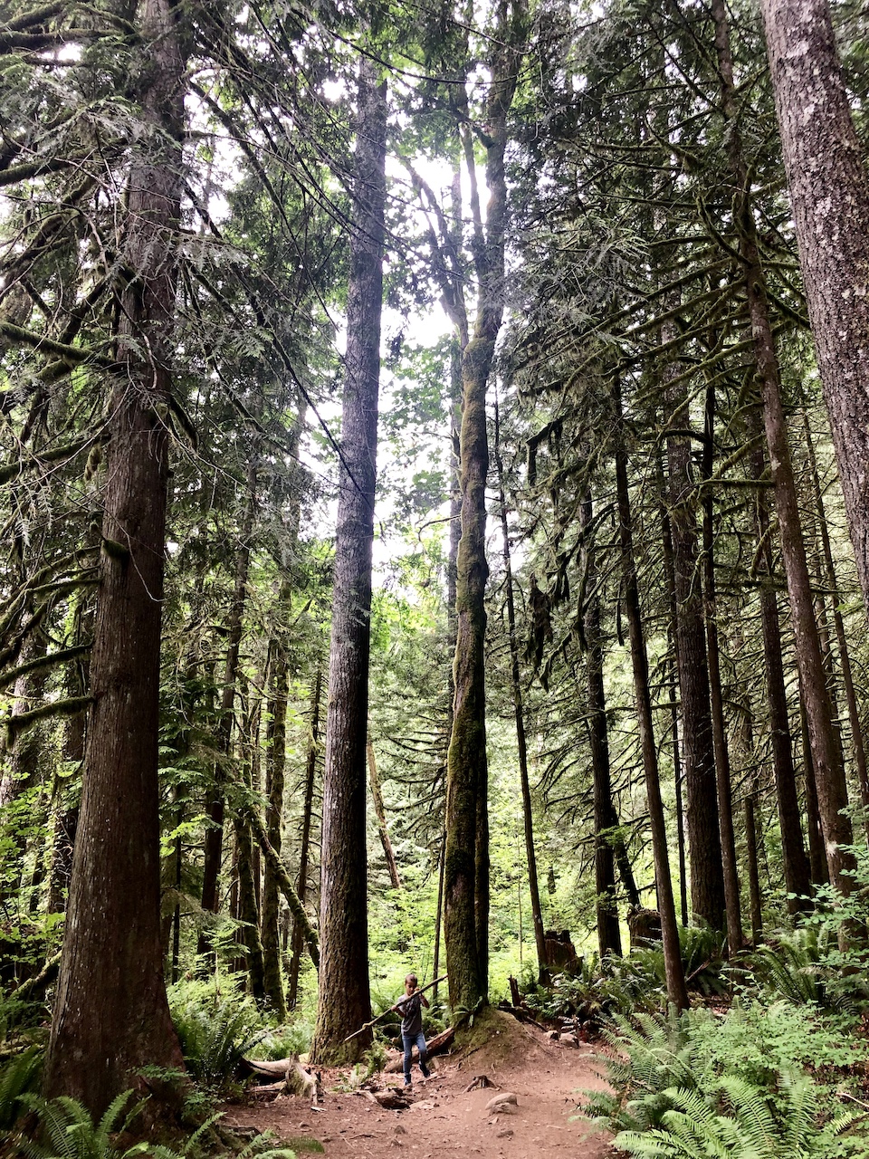 Road Tripping The Cascade Loop, WA With Kids - Day 1 - Frugal For Luxury