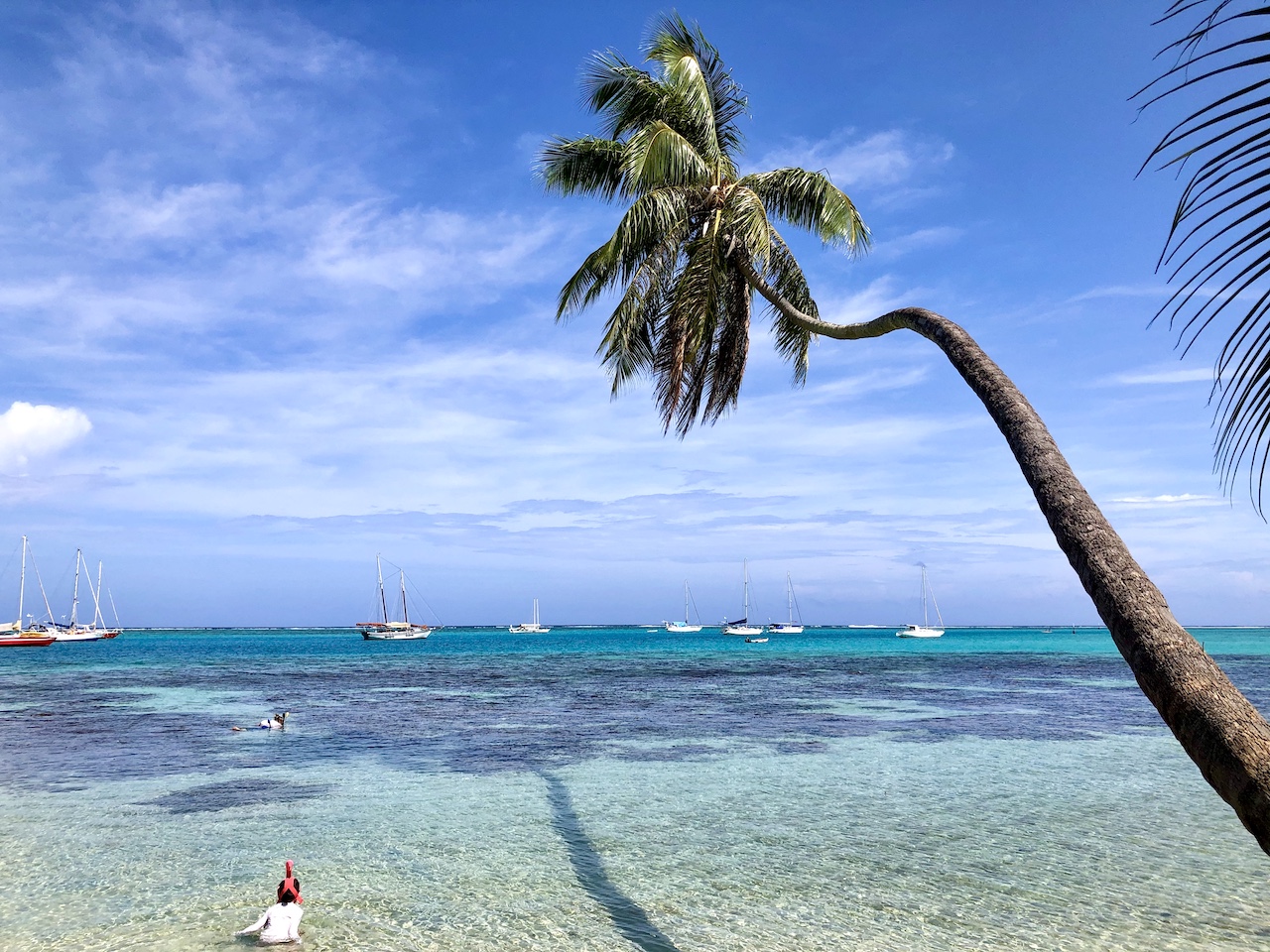 Moorea With Kids - A *Family-Proof* Travel Guide - Frugal For Luxury
