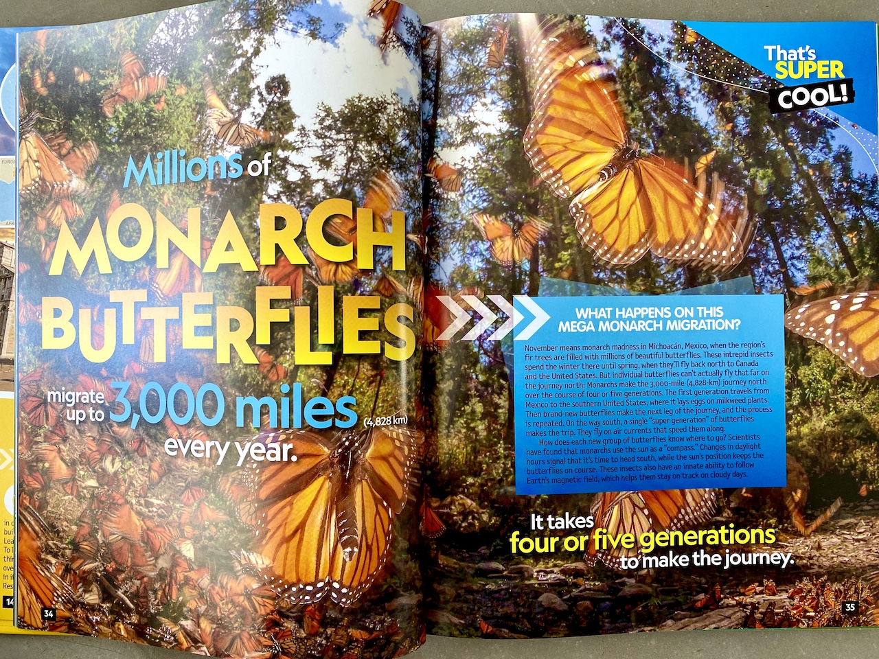 Nat Geo Kids Books - Best Books For Elementary Students - Frugal For Luxury
